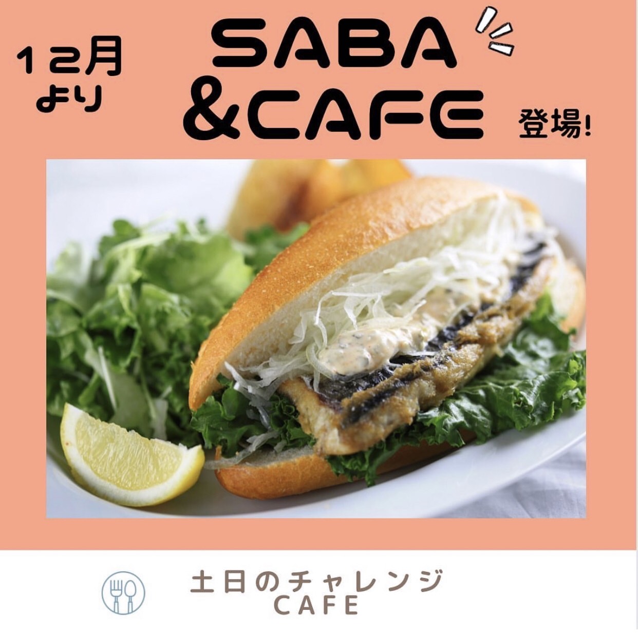 【Saba＊Cafe】さんのチャレンジを応援させていただくことになりました！！！ | 合同会社LOCO